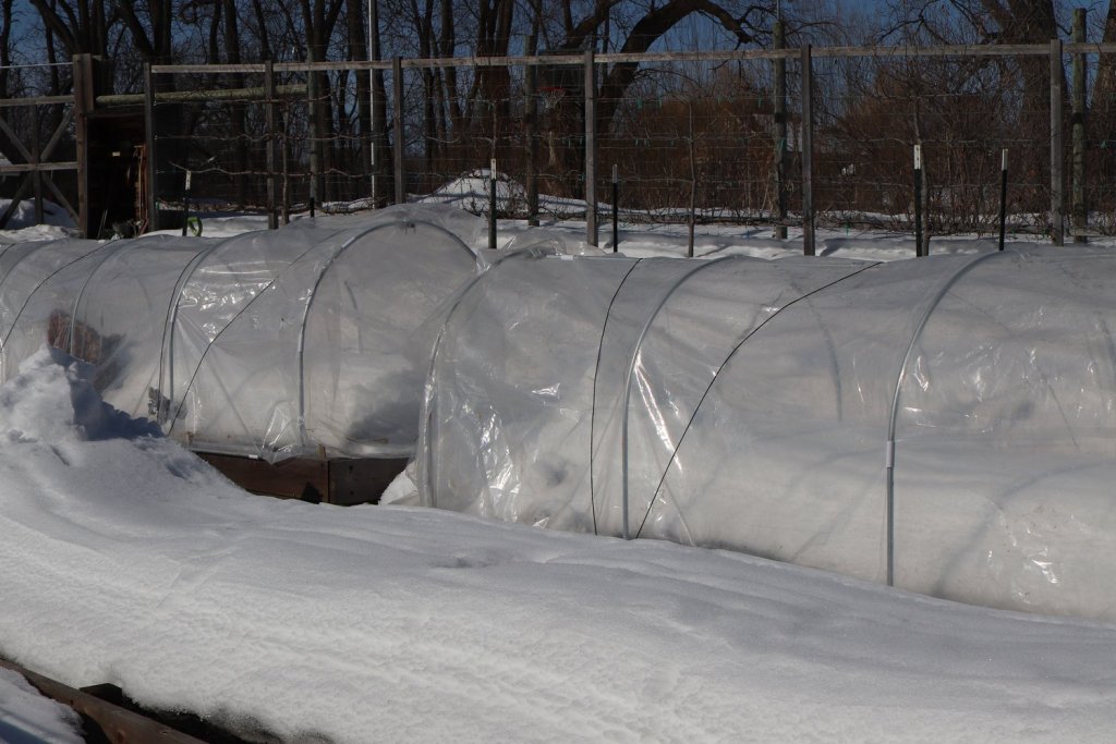 Low Tunnel Guide: Selecting + Setting Up Low Tunnels to Spring Ahead ...